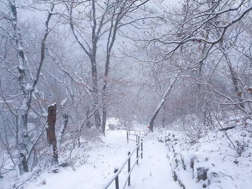 눈꽃이 아름다운 설산으로, 겨울산 추천 BEST 5