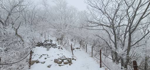 눈꽃이 아름다운 설산으로, 겨울산 추천 BEST 5